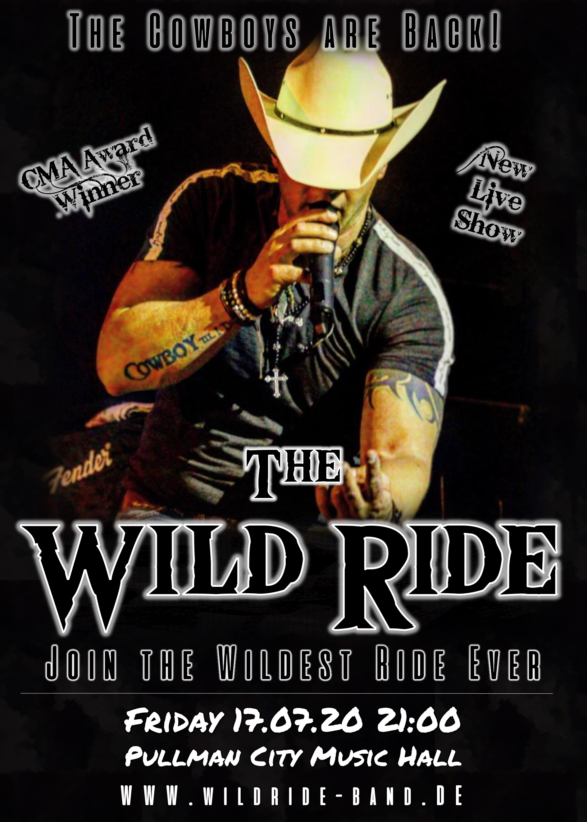 Pure Country Rock - The Wild Ride